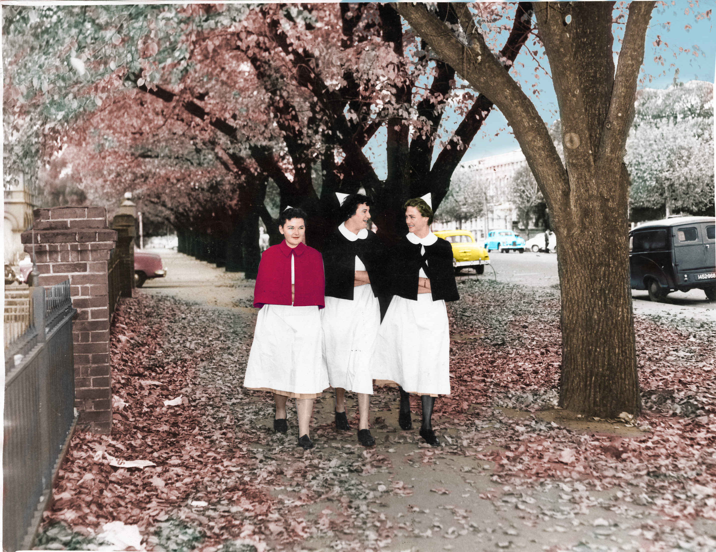 Three nurses walk down North Terrace amongst piles of autumn leaves ...